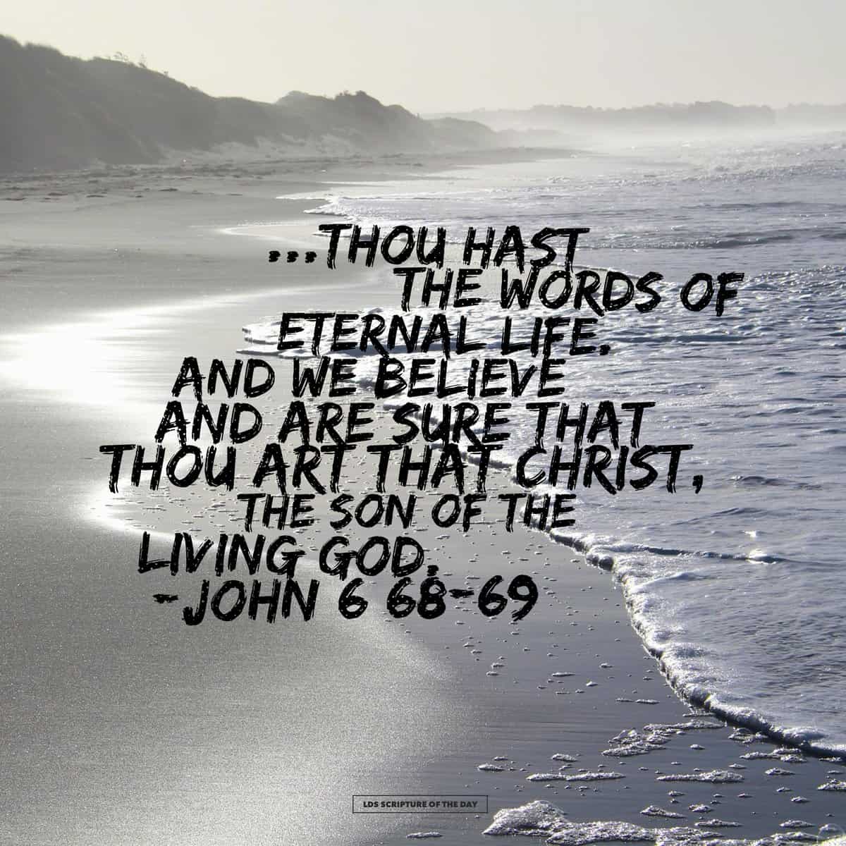 John 6 68 69 LDS Scripture Of The Day John 6 68 69 LDS Scripture Of The Day